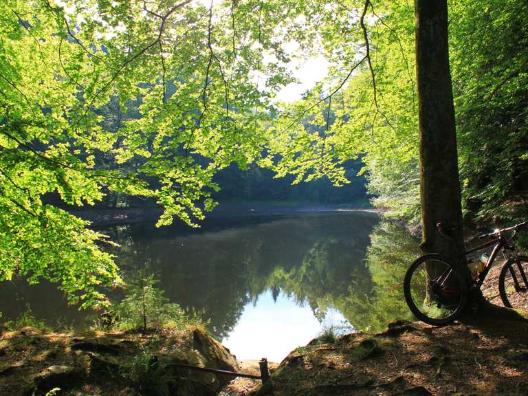 Die 10 schönsten Mountainbike-Touren rund um Kell am See | Komoot