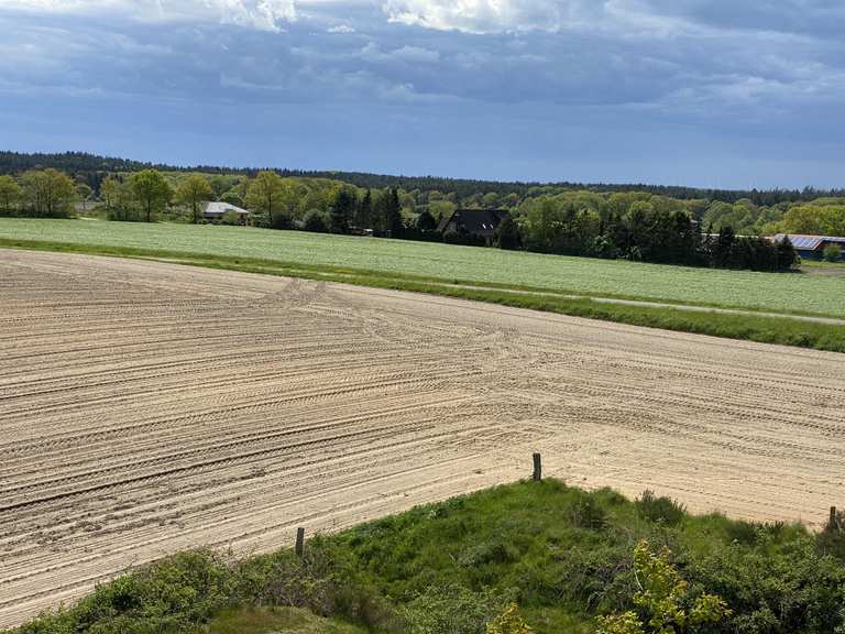 Die schönsten Wanderungen rund um Lamstedt | Komoot