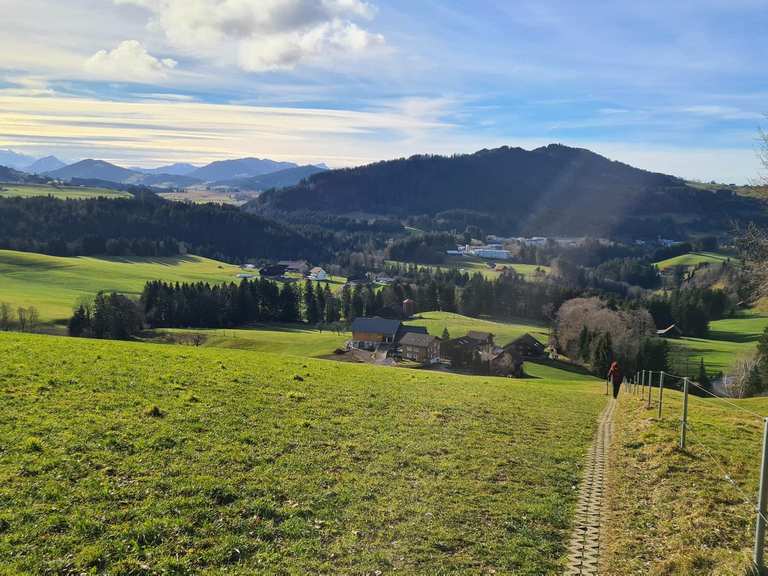 Ausflugsziele rund um Feusisberg - Die Top 20 | Komoot
