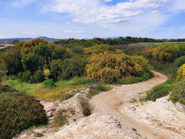 Top 10 Bike Rides and Cycling Routes in Larnaca | Komoot