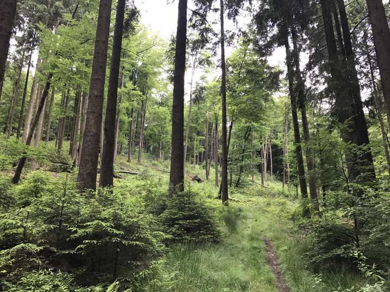 Die 10 schönsten Wanderungen rund um Herscheid | Komoot