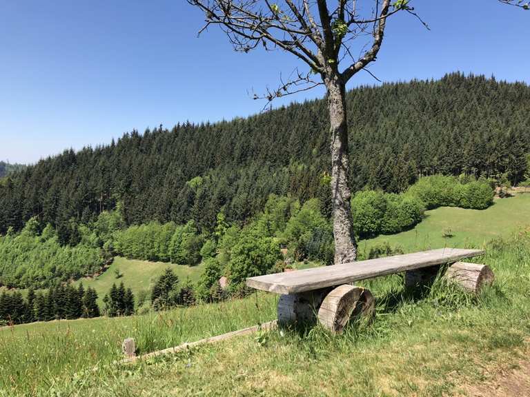 Les plus belles promenades et randonnées autour de Lautenbach | Komoot