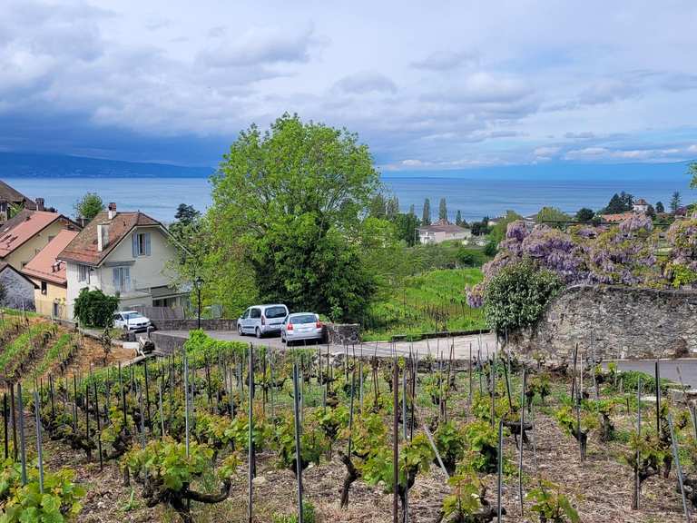 Top 10 Hikes and Walks in District de Lavaux-Oron | Komoot