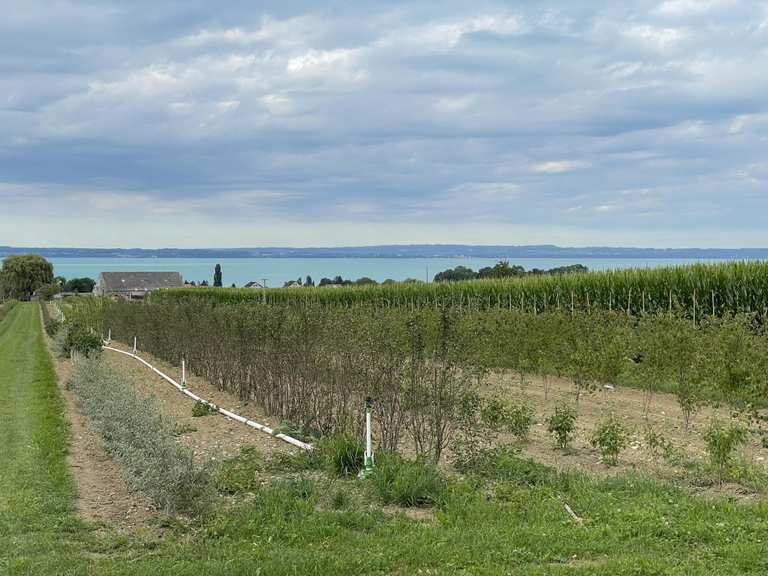 Los mejores sitios que ver en Dozwil - Top 20 | Komoot