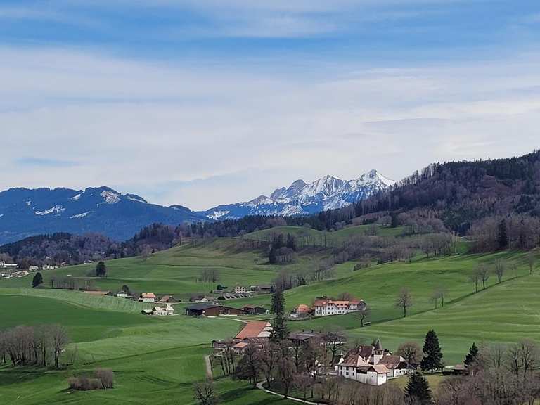 Die 10 schönsten Wanderungen rund um Le Mouret | Komoot