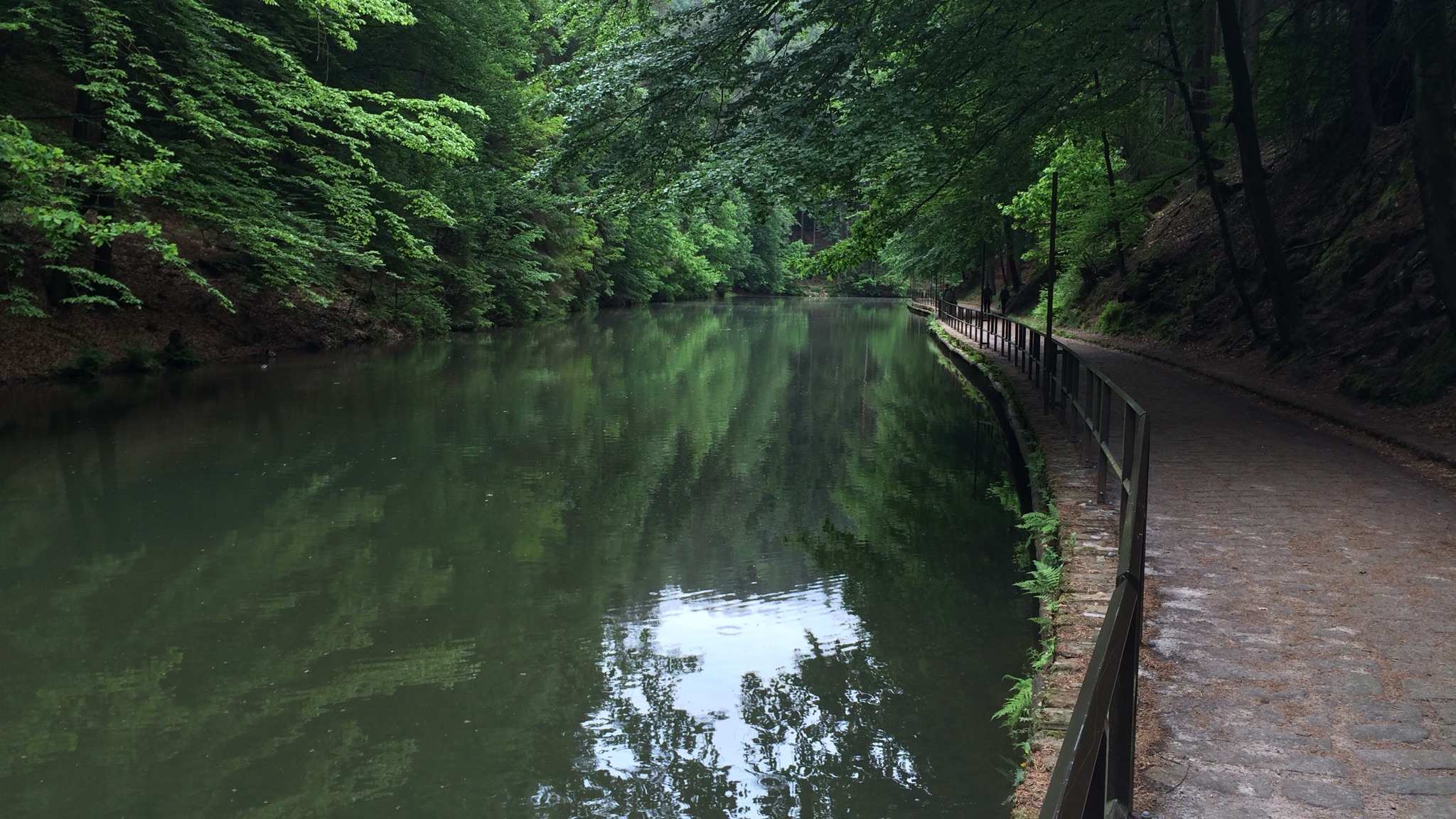 Top 9 Lakes in the Saxon Switzerland-East Ore Mountains | Komoot