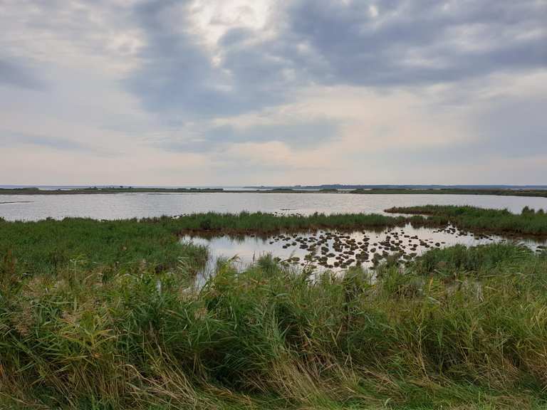 Ausflugsziele rund um die Insel Koos, Kooser See und Wampener Riff ...