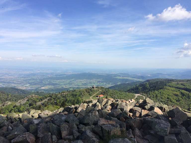 De 10 mooiste wandelroutes in Loire | Komoot