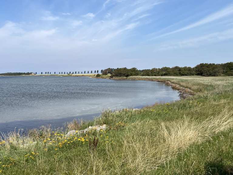 Die schönsten Wanderungen in Lolland | Komoot
