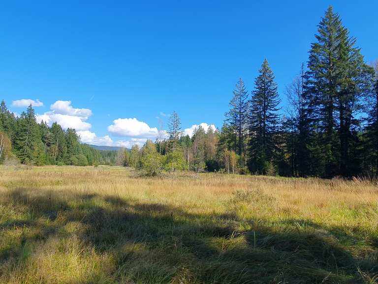 The best traffic-free bike rides around Sprendlingen | Komoot