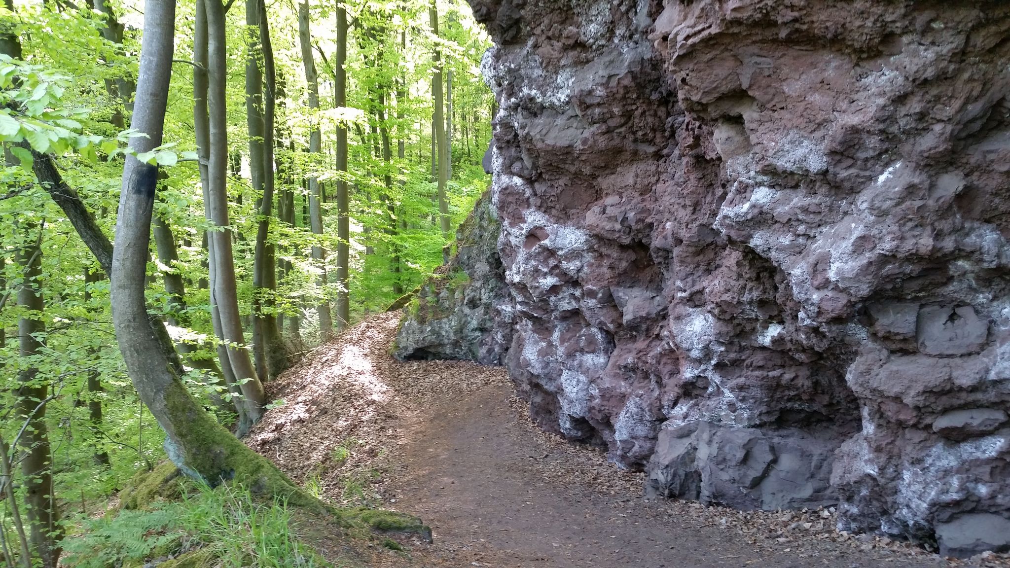 Die 10 schönsten Wanderungen rund um Maria Laach | Komoot