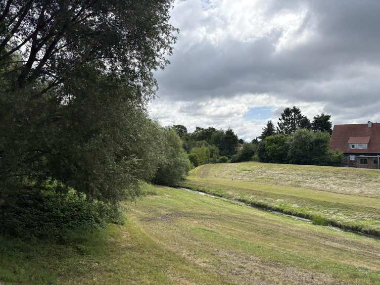 Les Plus Belles Randonnées Avec Chien Dans Haut Lieu Tectonique Suisse