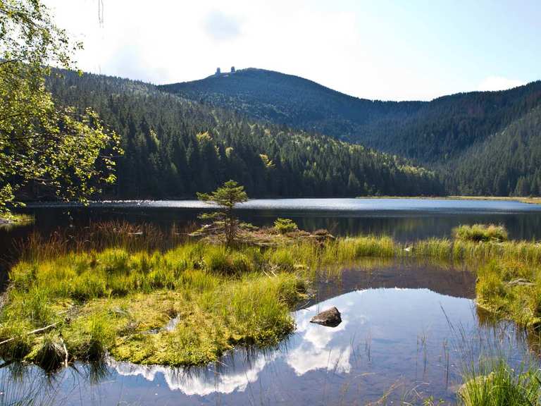 Top 10 Hikes and Walks around Lohberg | Komoot