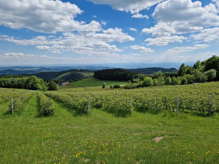 Die 8 schönsten Fahrradtouren rund um Maria Laach am Jauerling | Komoot