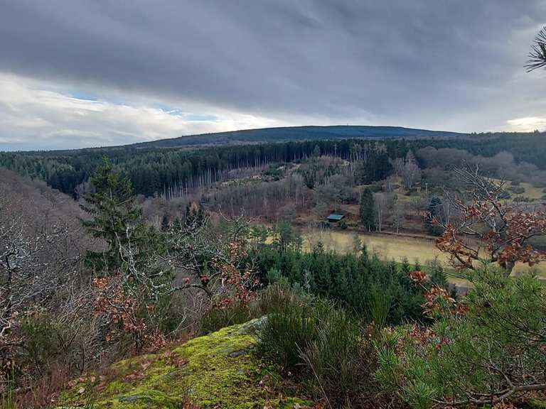 Die schönsten Wanderungen rund um Krummenau | Komoot