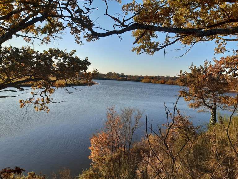 Les 3 meilleures attractions et ce qu'il faut voir autour du Lac de ...