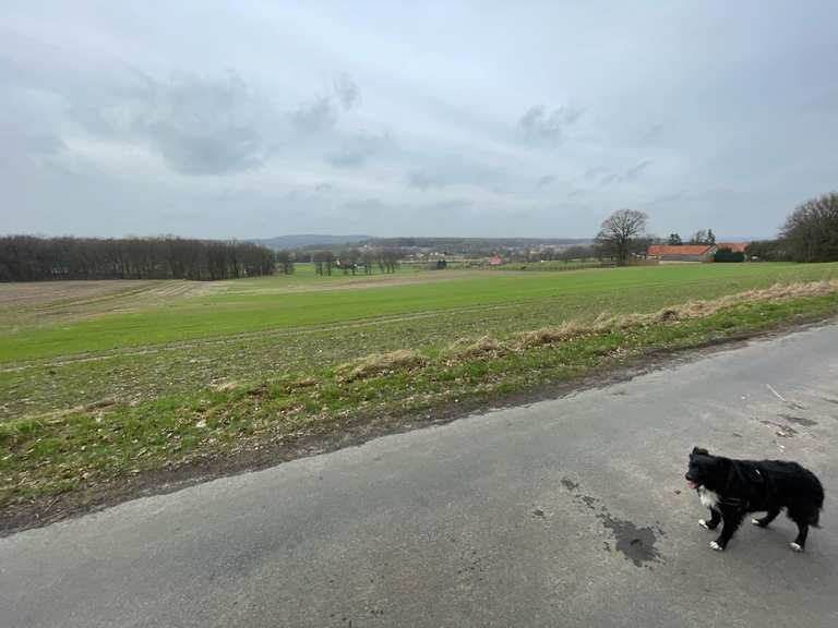 De mooiste autovrije fietsroutes rond Saint-Amand-sur-Fion | Komoot