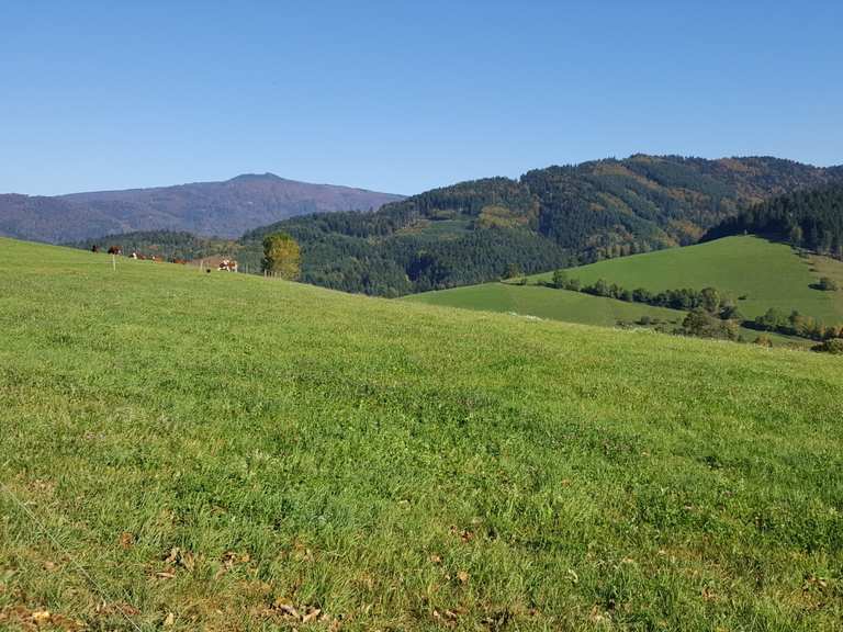 Die schönsten Wanderungen rund um Merzhausen | Komoot