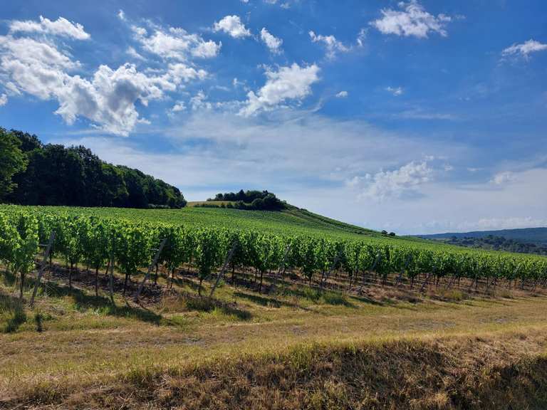 Die schönsten Wanderungen rund um Michelau im Steigerwald | Komoot
