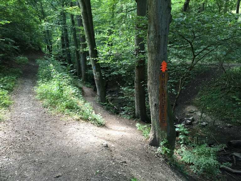 Die 10 schönsten Wanderungen rund um Lahnstein | Komoot