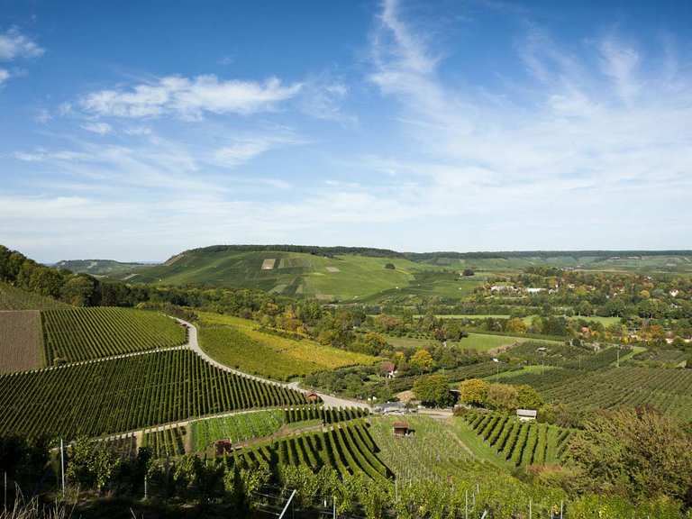 Die 10 schönsten Wanderungen rund um Neckarsulm | Komoot