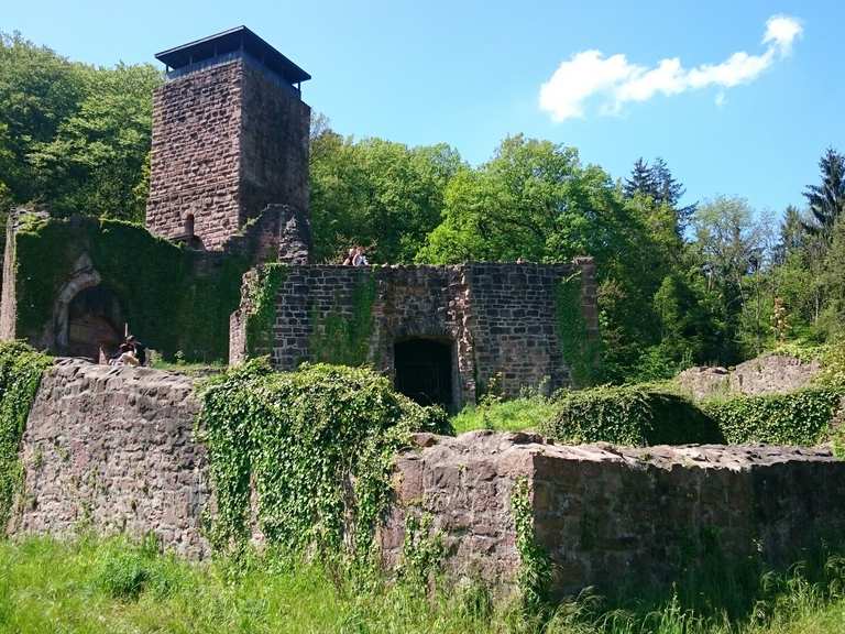 Top 20 Hikes and Walks around Neckarsteinach | Komoot