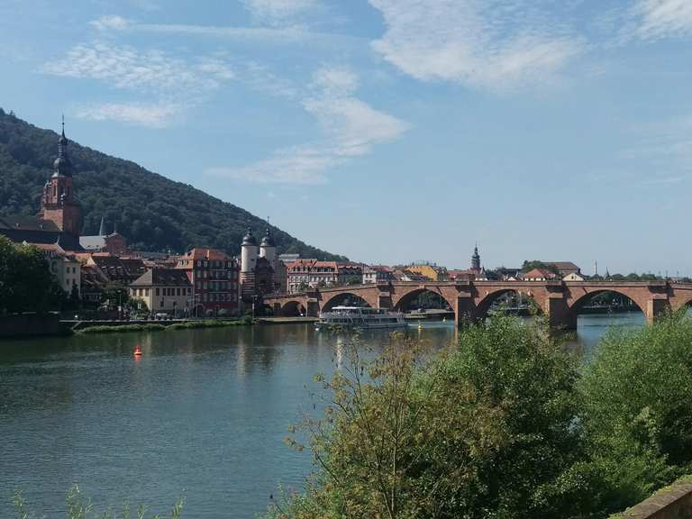 Die 10 schönsten Wanderungen rund um Neckargemünd | Komoot