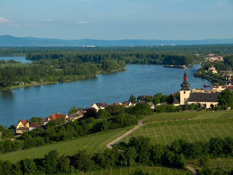 Die 10 schönsten Fahrradtouren rund um Nierstein | Komoot