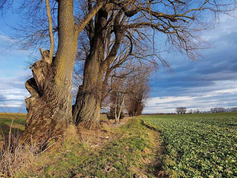 Die 10 schönsten Wanderungen rund um Moosinning | Komoot