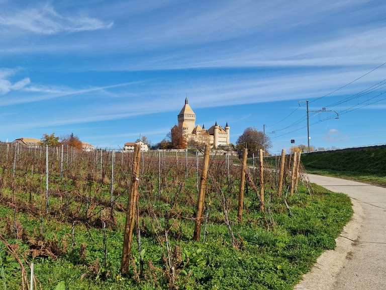 Les plus belles pistes cyclables autour de District de Morges | Komoot