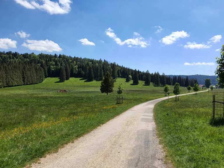 Die 10 schönsten Wanderungen rund um Muriaux | Komoot