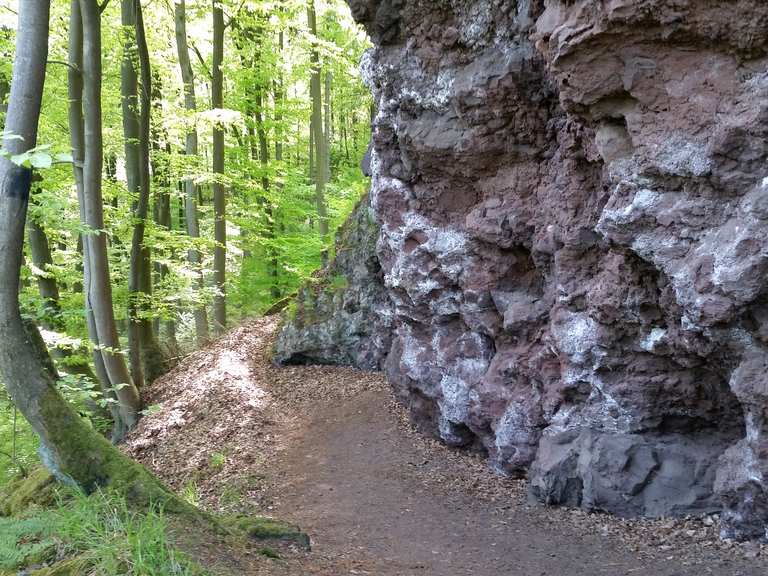 Top 20 randonnées et balades autour de Mendig | Komoot