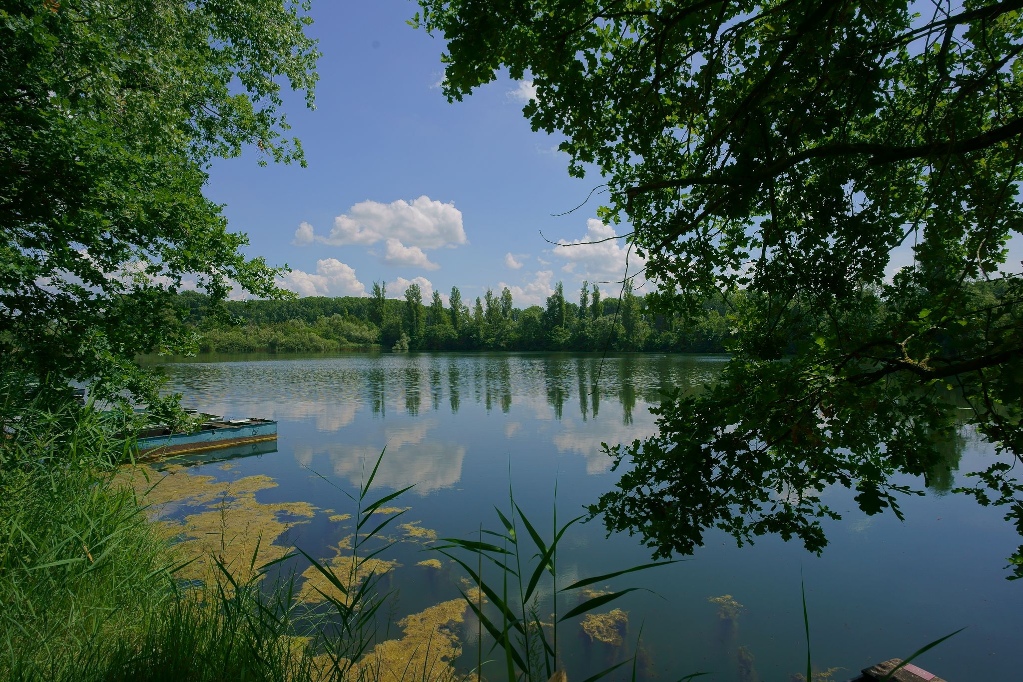 Die 5 schönsten Wanderungen rund um Neuhofen | Komoot