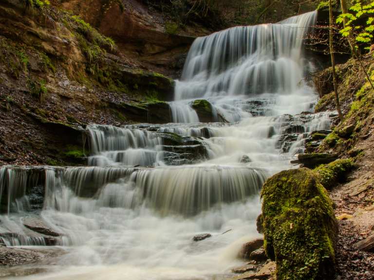 Die 10 schönsten Wanderungen rund um Murrhardt | Komoot