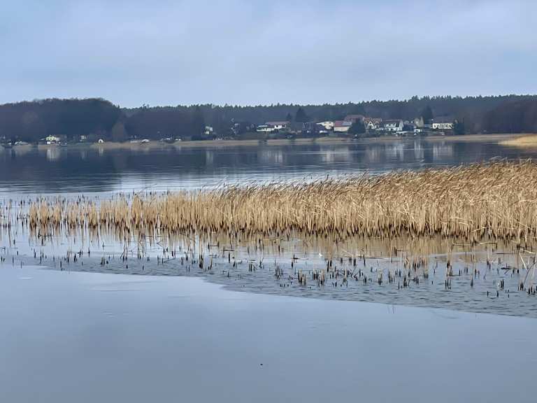 Ausflugsziele rund ums Naturschutzgebiet Großer Labussee - Die Top 4 ...