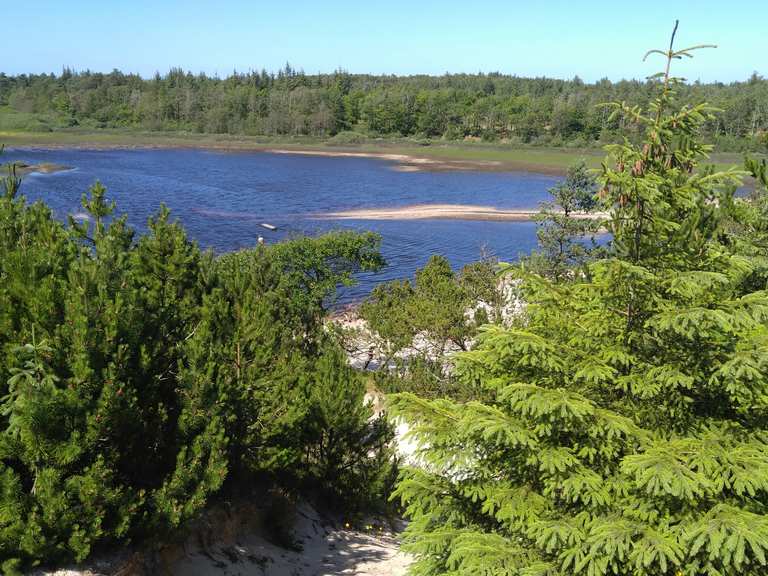 Top 10 Hikes and Walks in North Denmark | Komoot