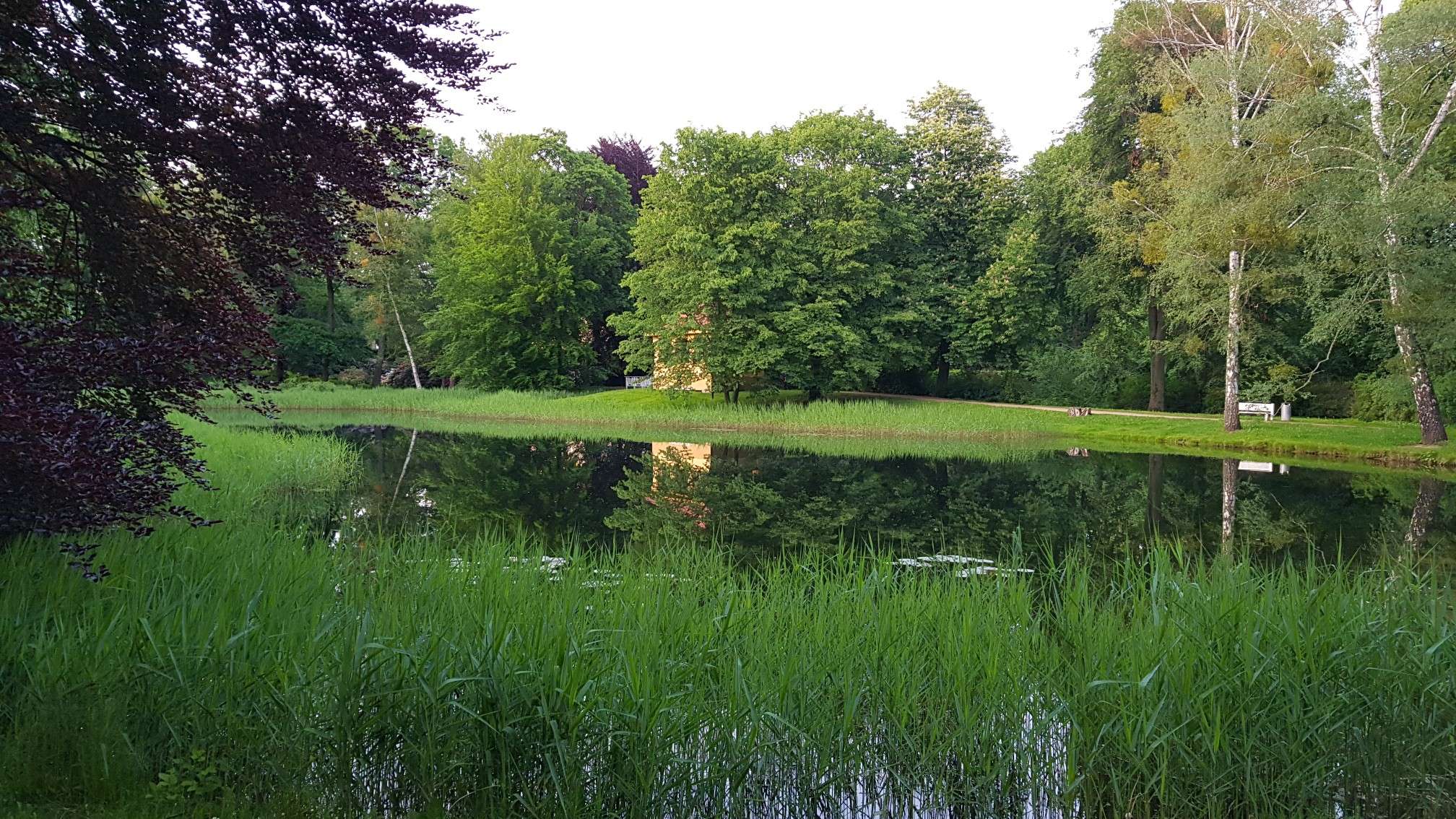 Ausflugsziele rund um den Senftenberger See - Die Top 20 | Komoot