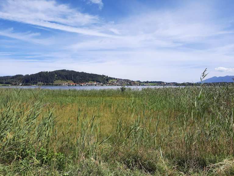 Ausflugsziele rund um den Hopfensee - Die Top 16 | Komoot