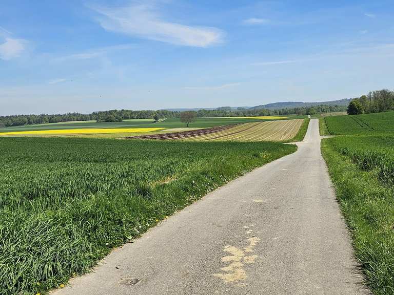 Die schönsten Wanderungen rund um Oberglatt | Komoot