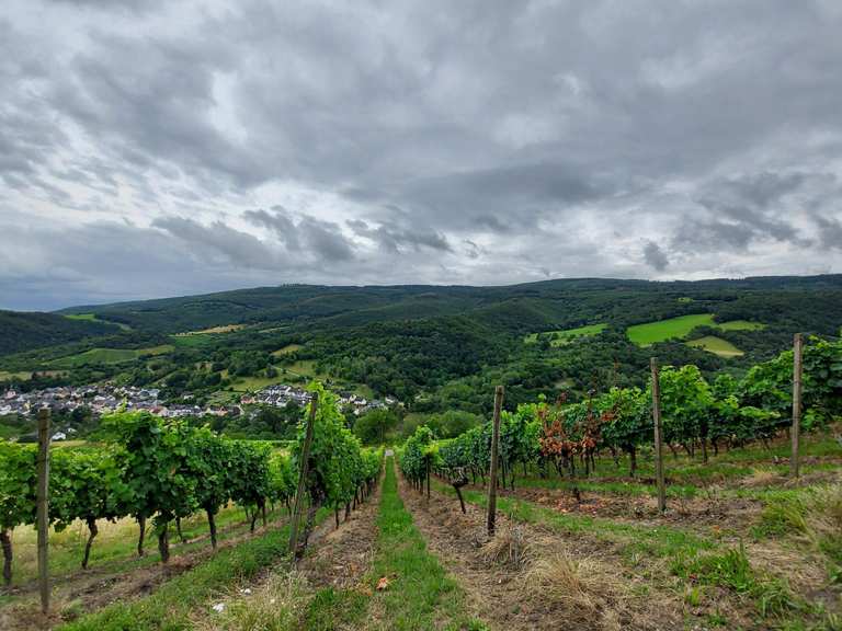 Die 10 schönsten Wanderungen rund um Oberheimbach | Komoot