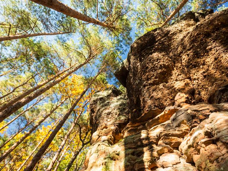 Die 10 schönsten Wanderungen rund um Ramsen | Komoot