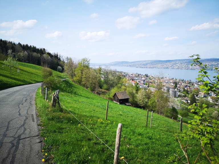 Die 10 schönsten Wanderungen rund um Oberrieden | Komoot
