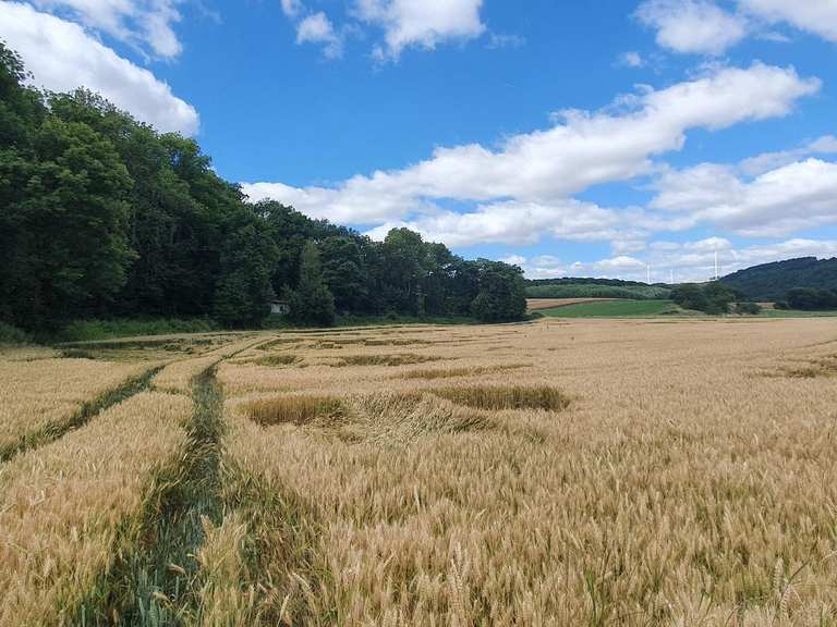 Die 10 schönsten Wanderungen rund um Odenbach | Komoot