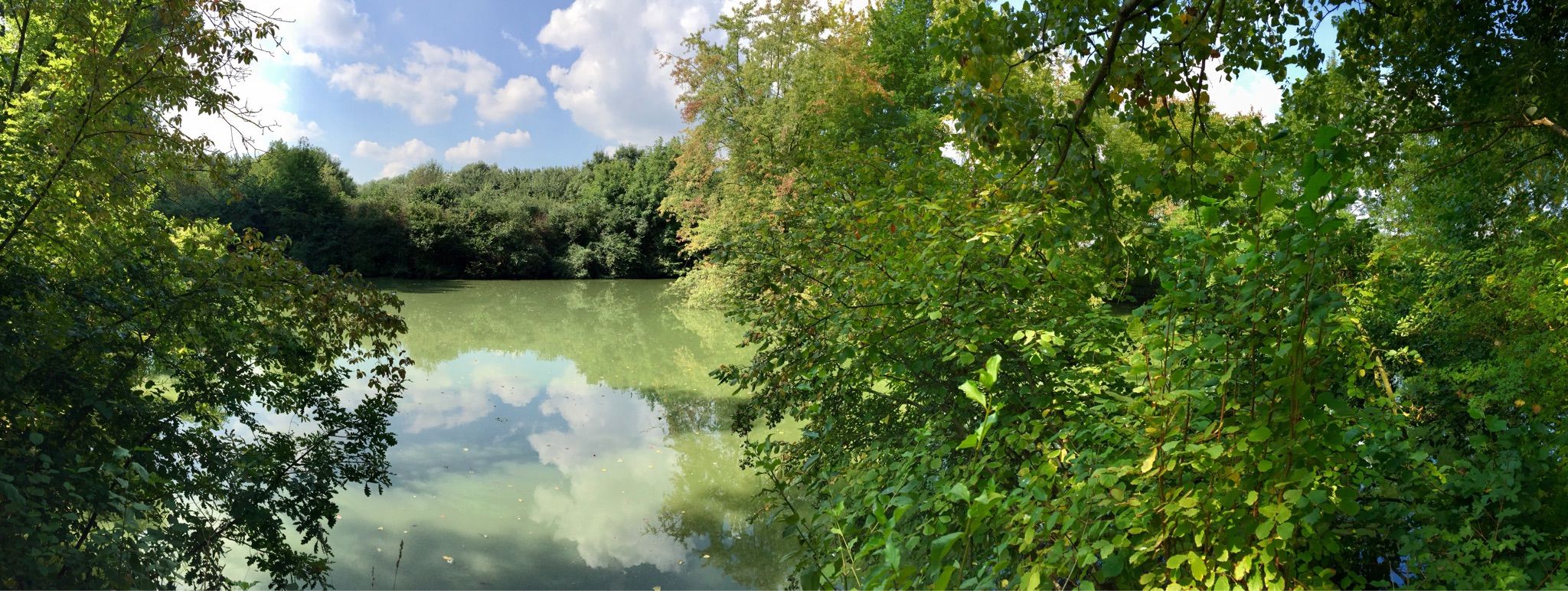 Die 10 schönsten Wanderungen rund um Pulheim | Komoot