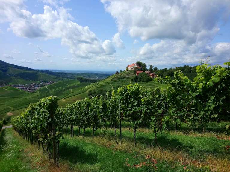 Top 10 randonnées et balades autour de Oberkirch | Komoot