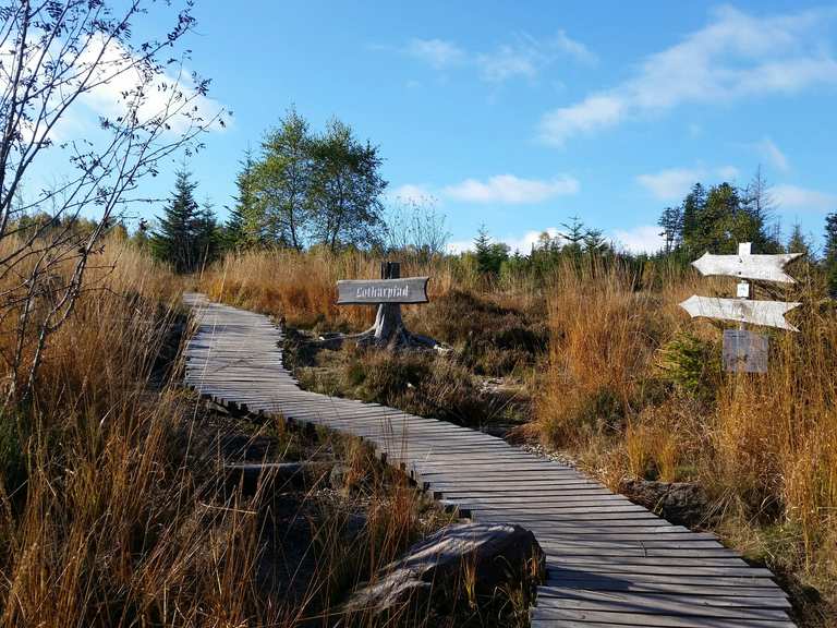 De 10 mooiste wandelroutes rond Oppenau | Komoot