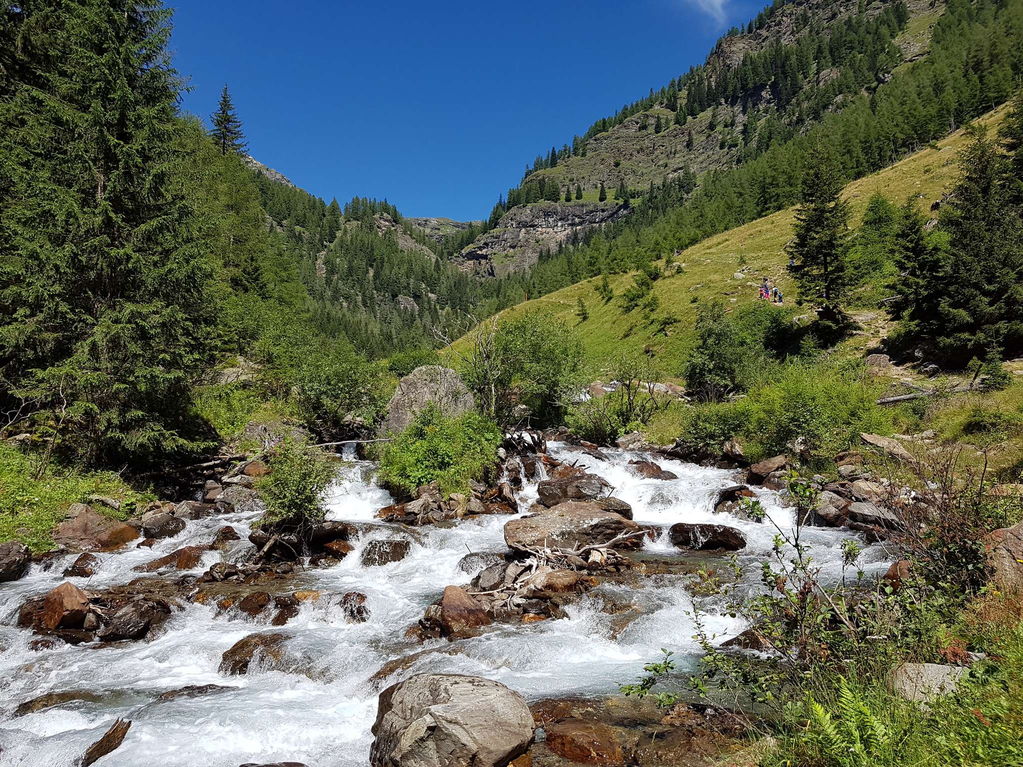 Die 10 schönsten Wanderungen in Nationalpark Stilfser Joch | Komoot