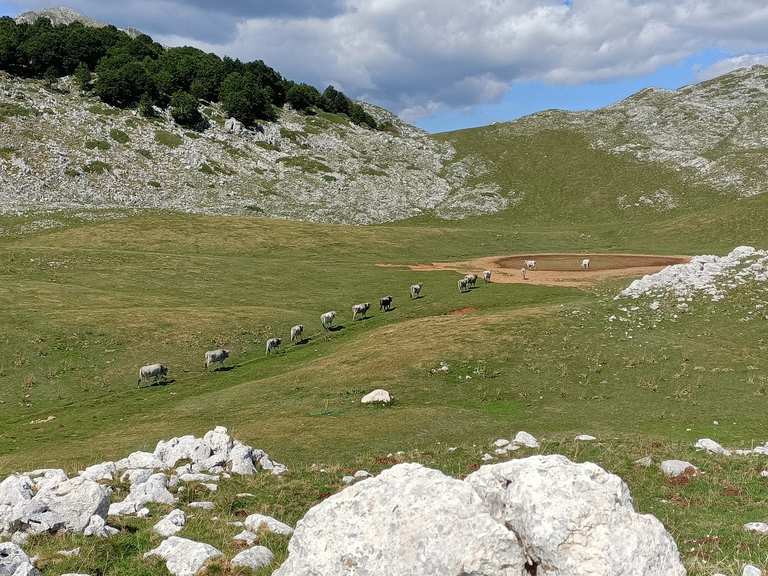 Top 10 Hikes and Walks around National Park of Abruzzo | Komoot