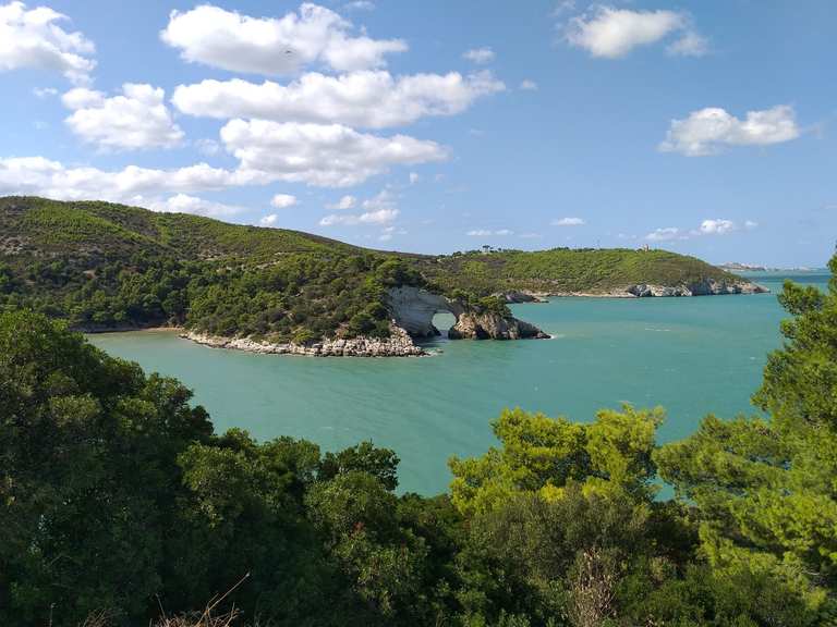 Les plus belles promenades et randonnées autour de Gargano Parc ...