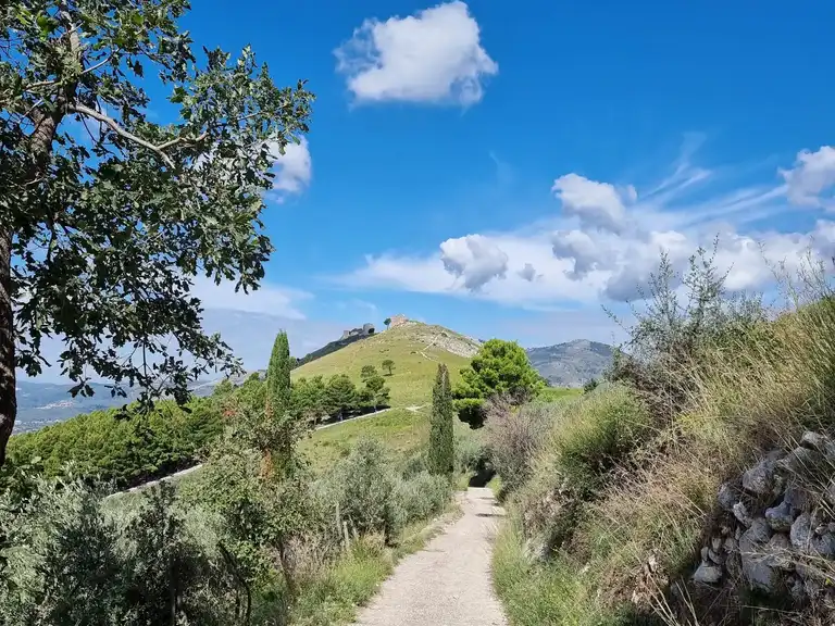 Die 5 schönsten Wanderungen in Partenio Regional Park | Komoot